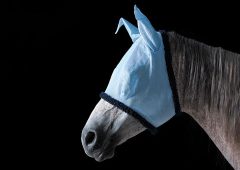 Equus - Tim Flach